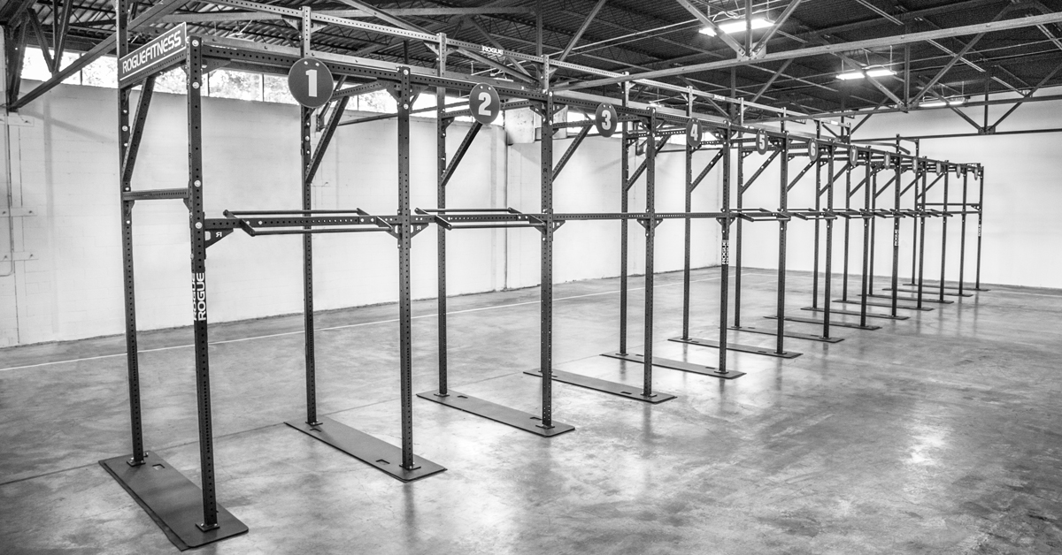 XML-144 12' Monster Lite Upright - Rig Add-On | Rogue Fitness