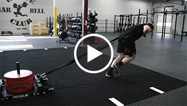 Rogue Dog Sled - Push/Pull Weight Training | Rogue Fitness