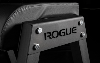 Rogue Rig Mount Parallel Bars | Rogue Fitness