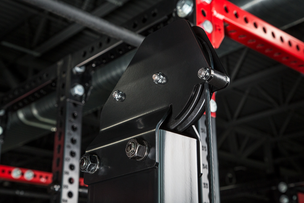 Rogue Monster Rhino Belt Squat - Drop-In | Rogue Fitness