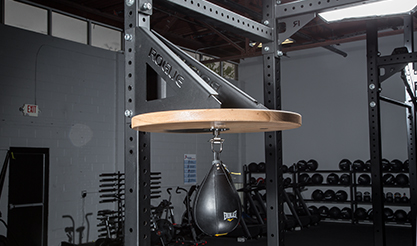 Rogue Rig Mount Speed Bag Platforms | Rogue Fitness