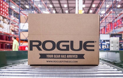 Rogue Rings - Steel Gymnastic Rings - American Made | Rogue Fitness