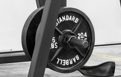 RH-2 Rogue Reverse Hyper - Made in the USA | Rogue Fitness