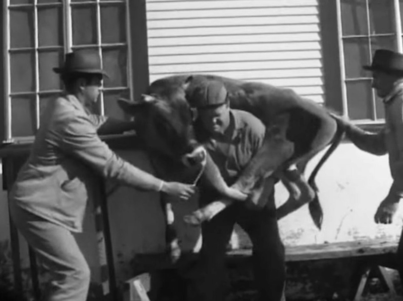 Strongman: A Brief Introduction | Rogue Fitness