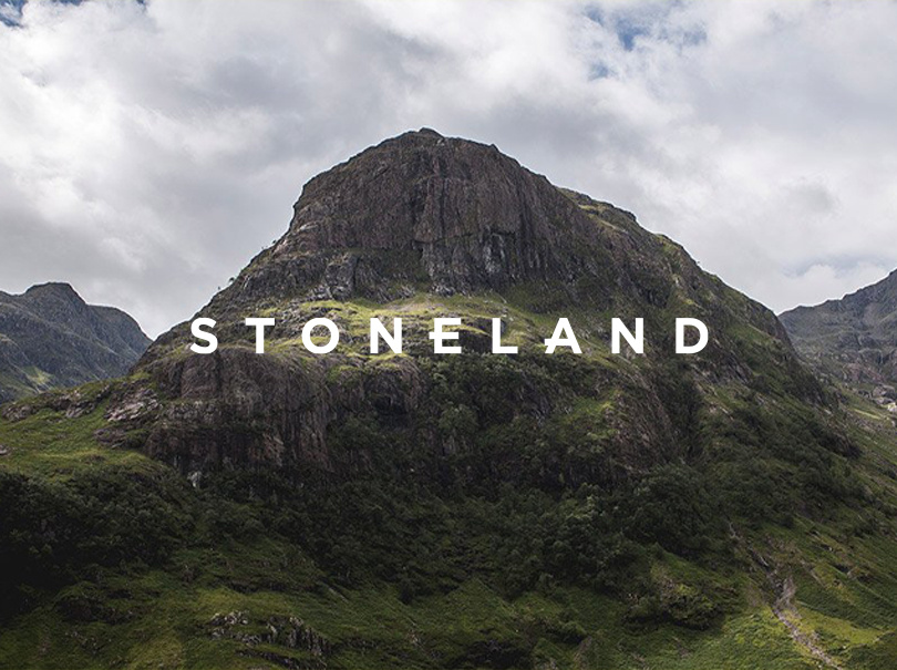 Rogue P-4 Pull-Up System - Single-Unit - Brackets | Rogue Fitness Canada