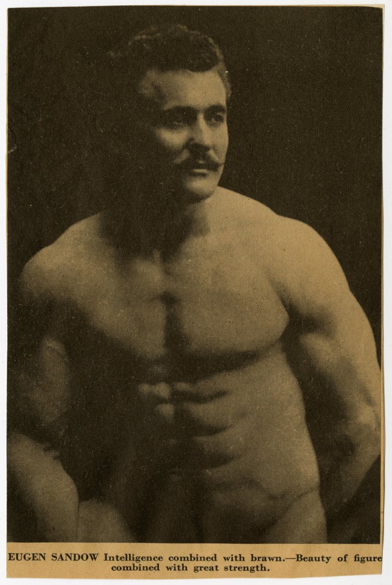 Sandow portrait | Rogue USA