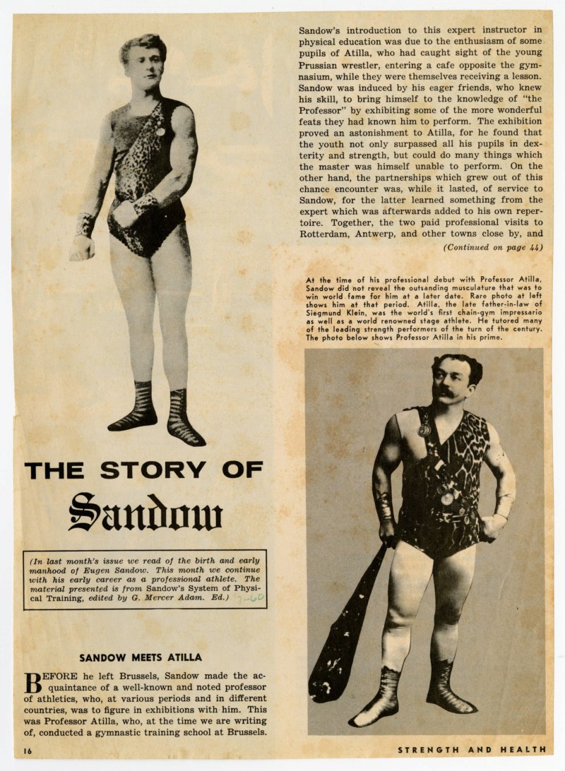 The Story of Sandow | Rogue USA