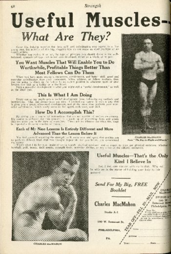 Useful Muscles-What Are They? | Rogue Fitness