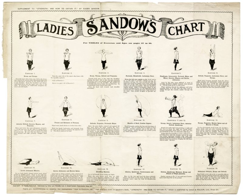 Sandow’s Ladies Chart | Rogue USA