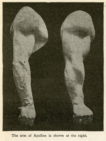 The arm of Apollon is shown at the right | Rogue Fitness