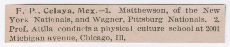 Professor Attila conducts a physical culture school | Rogue USA