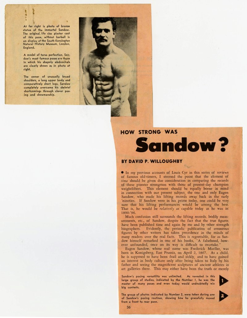 How Strong Was Sandow? | Rogue USA