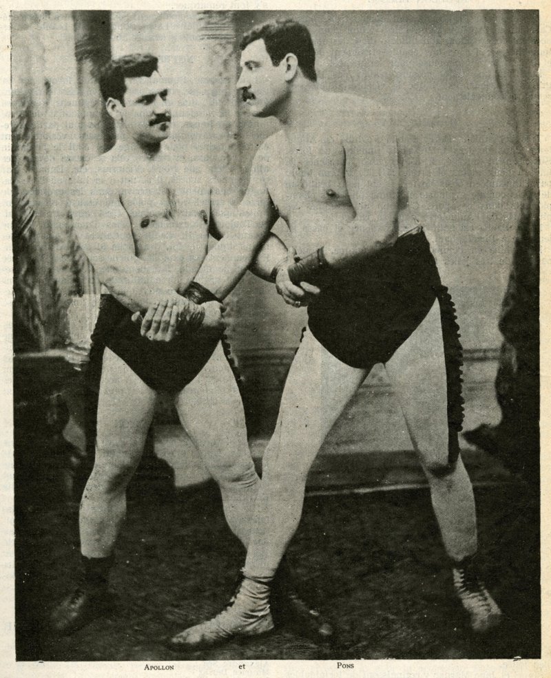 Apollon and Pons | Rogue USA