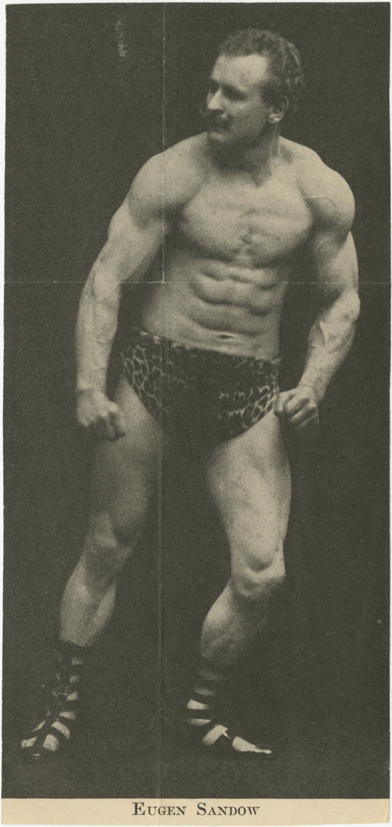 Eugen Sandow Trophy