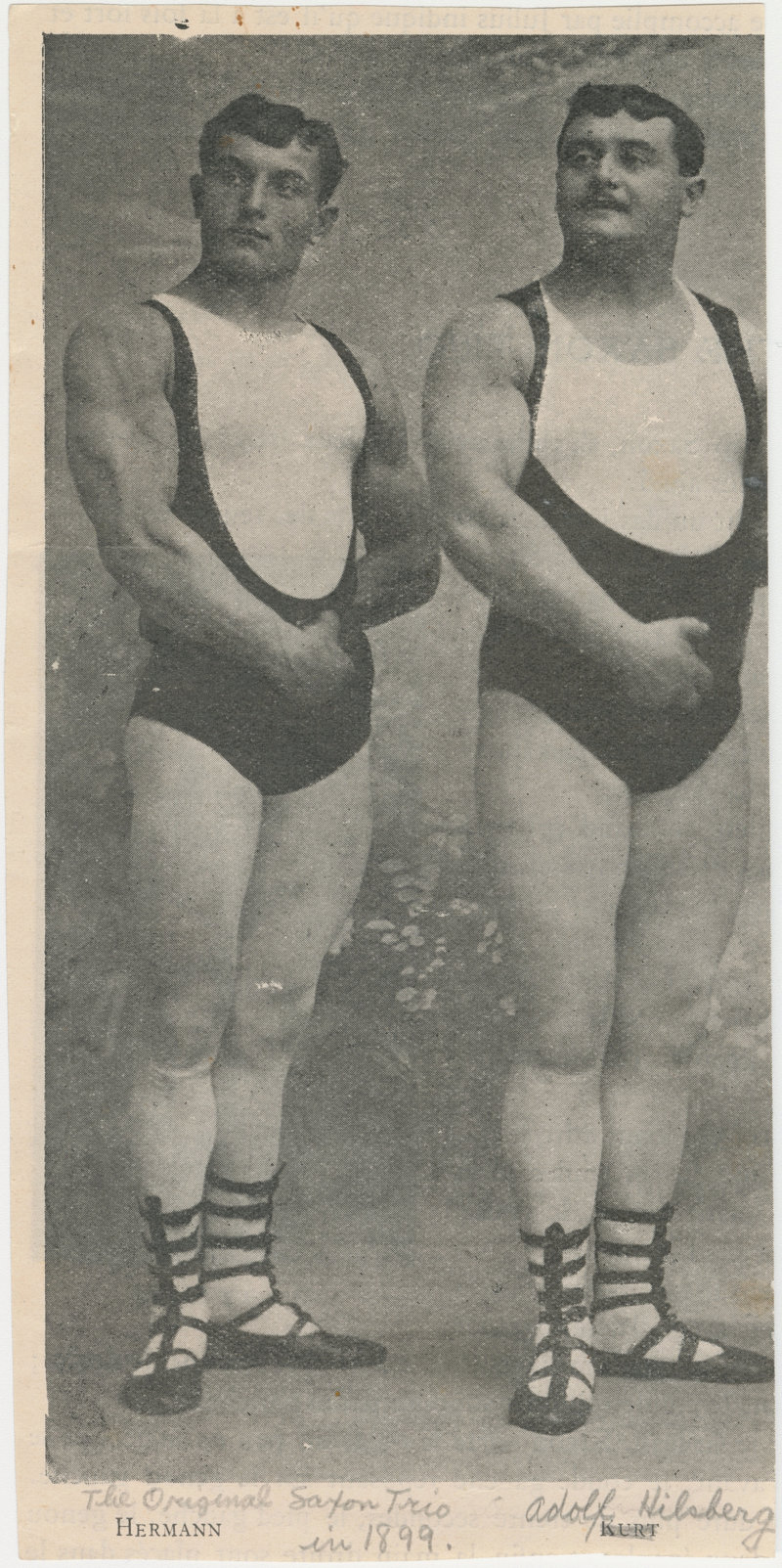 The Original Saxon Trio | Rogue USA