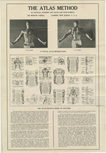 The Atlas Method Chart of Anatomy | Rogue Fitness