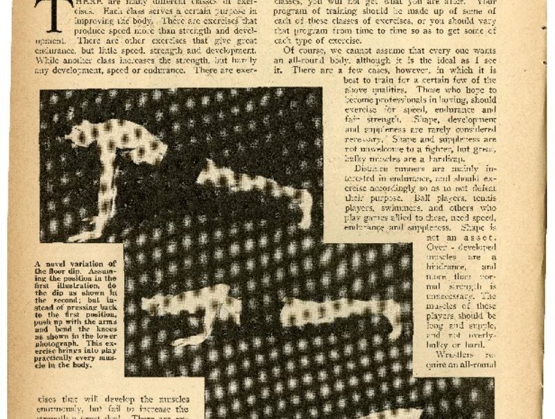 All-Round Exercises; Is There A Body Culturists’ Society? | Rogue ...