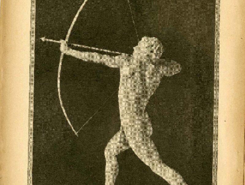 Fred Rohde | Rogue Fitness