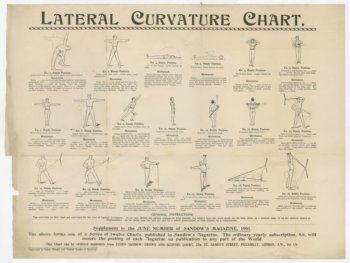 Lateral Curvature Chart | Rogue Fitness